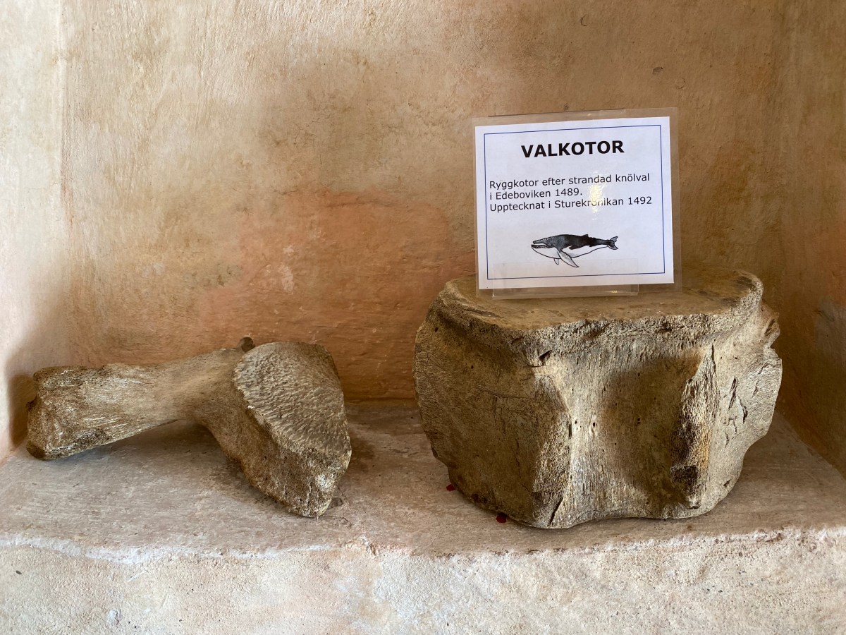 Valbenen i Edebo kyrka | Sverigereportage