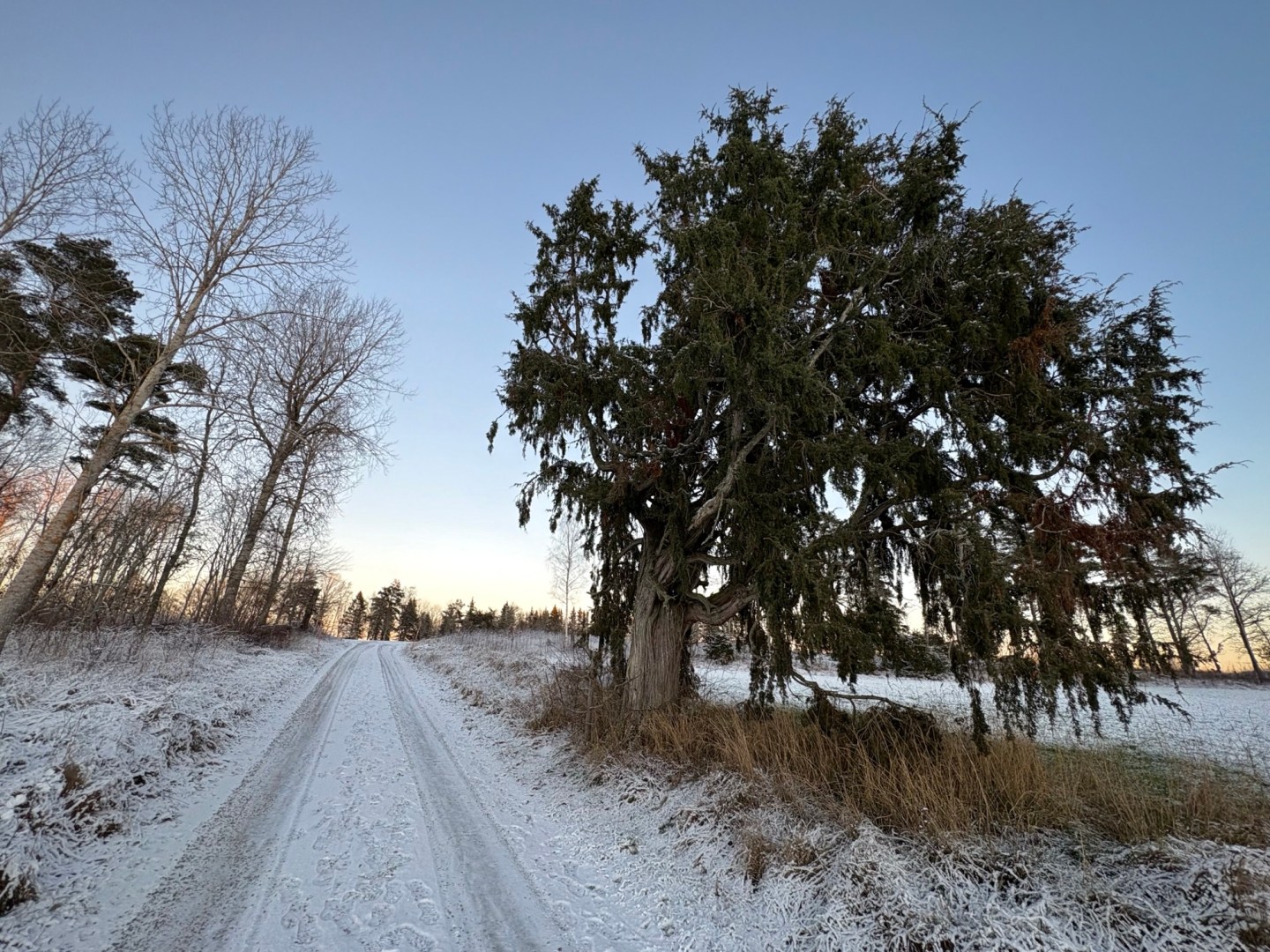 januari | 2026 | Sverigereportage